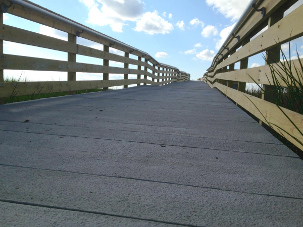 Get to Know Your Piers: Timber, Composite, and Concrete Materials