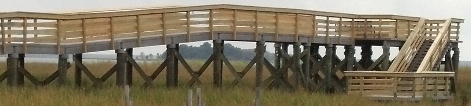 Concrete Boardwalk Construction | Timber Piles