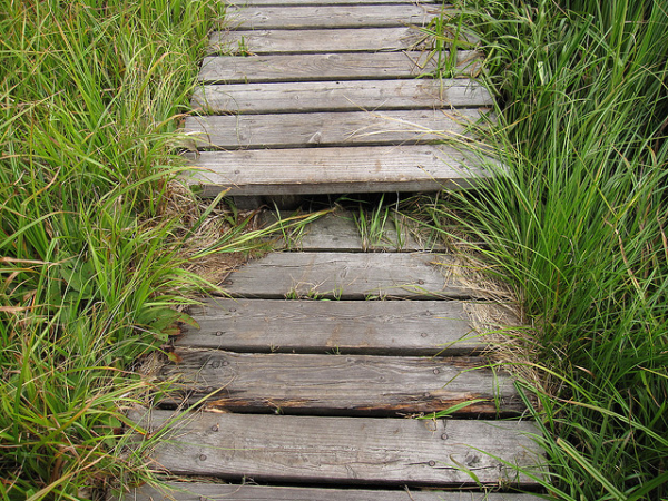 3 Applications Where Concrete Boardwalks Are Not a Good Fit