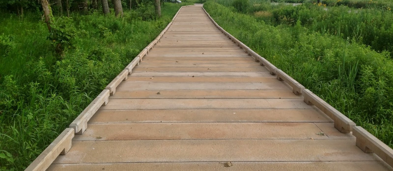 Concrete boardwalk protects and improves urban park