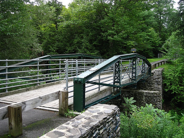 Pedestrian Bridge Design: Truss Bridge or Boardwalk System?