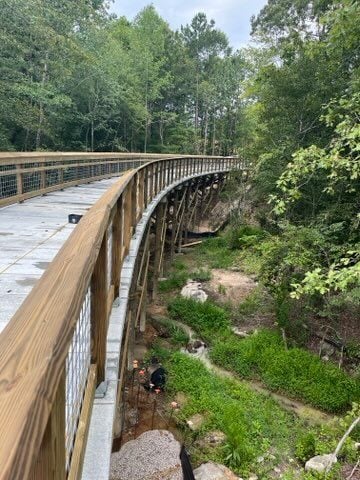 Key Considerations for Designing Highly Elevated Boardwalks: A ...