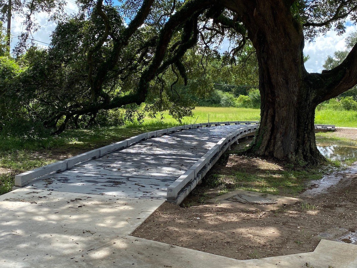 Tree Root Crossings in Boardwalk and Trail Design: A Guide for ...