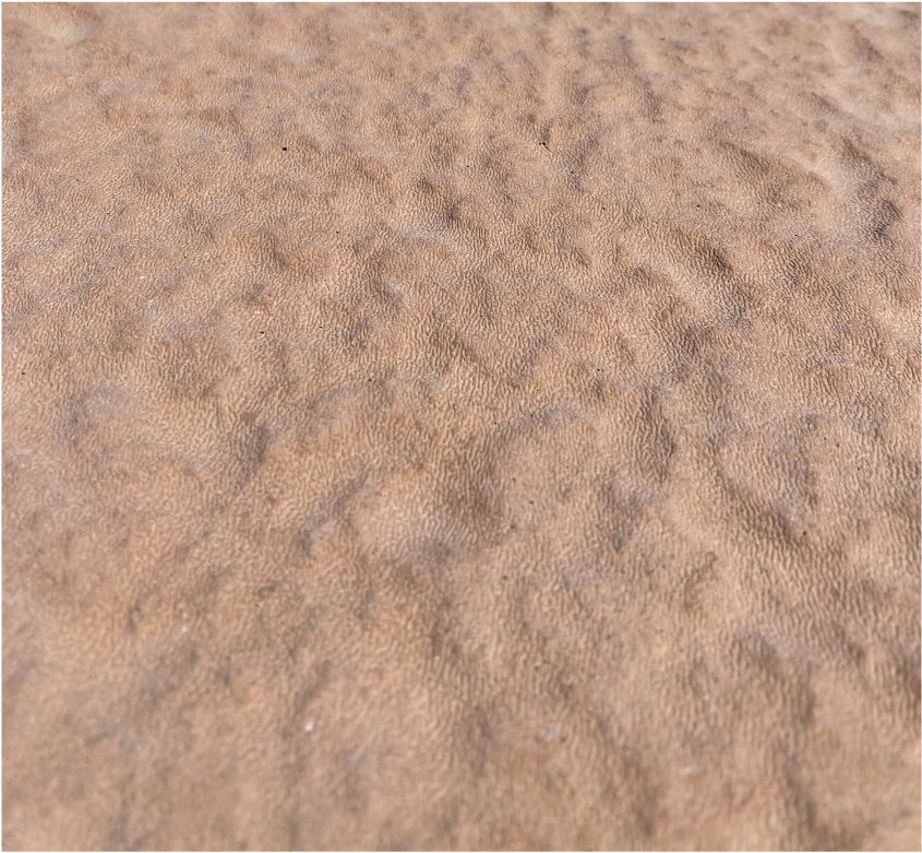 Colors & Textures for Concrete Boardwalk Systems | PermaTrak